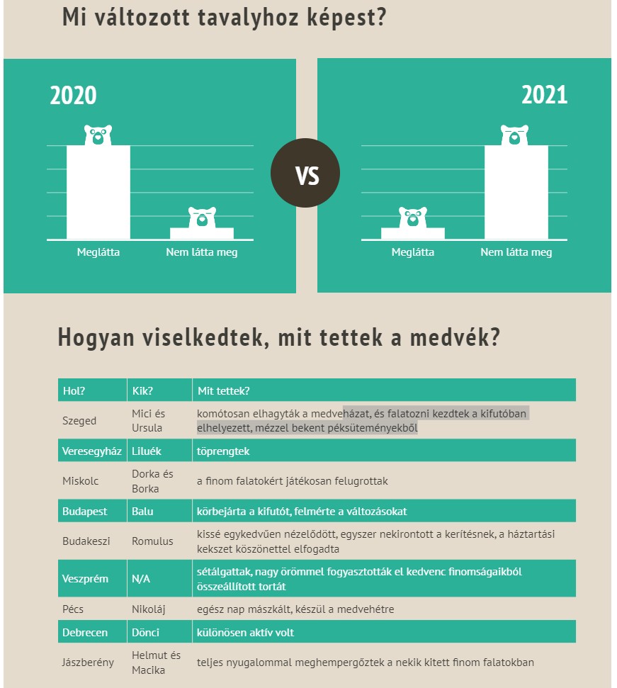 MEDVE Lap - Medvék téli álma -Medvék, mackók - Farkas Nóra weblapja